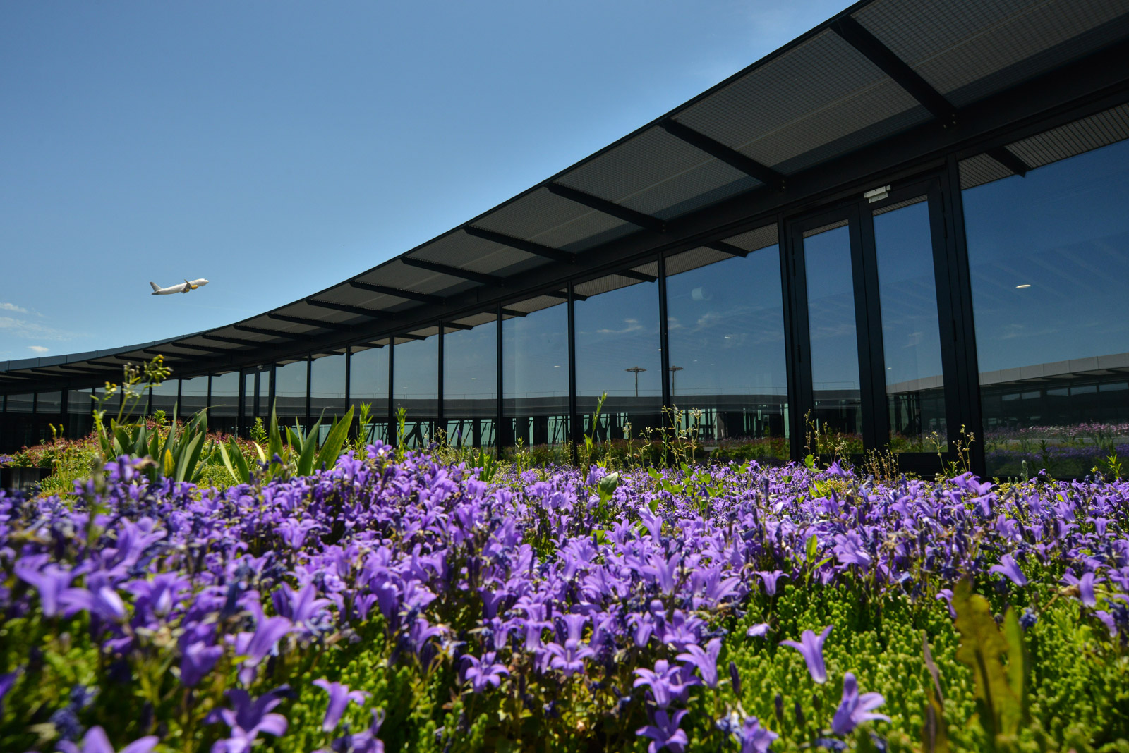 News and Useful Information of Lyon Airport | Lyon Aéroport